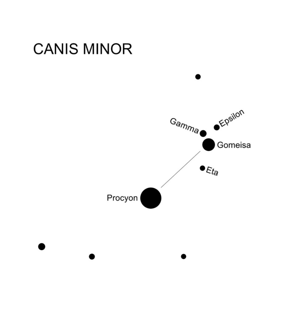 Skywatch: Canis Minor, Orion’s (little) canine helper - Cicerone